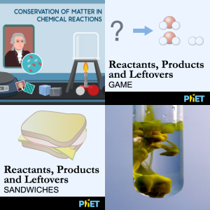 Practice: Conservation of Matter in Chemical Reactions S8P1.f - Free ...